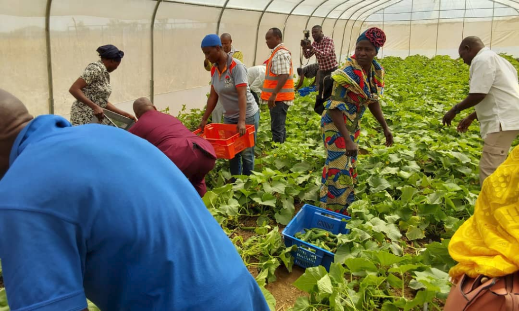 Agro-Climatic Resilience in Semi-Arid Landscapes (ACReSAL) - ACReSAL