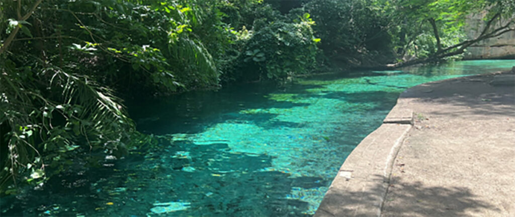 REVITALIZING THE YANKARI GAME RESERVE: The Bauchi ACReSAL Project ...