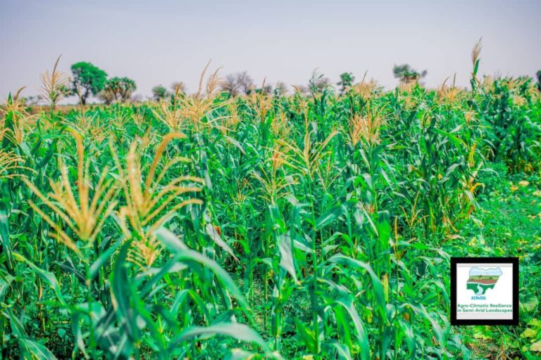 Agro-Climatic Resilience in Semi-Arid Landscapes (ACReSAL) - ACReSAL