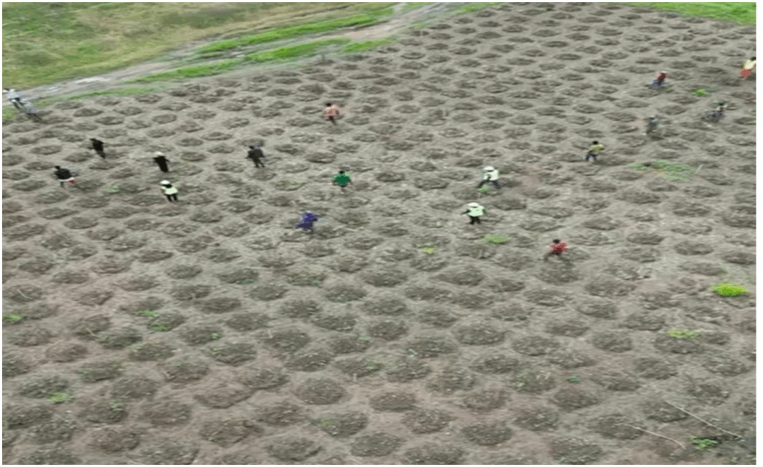 Agro-Climatic Resilience in Semi-Arid Landscapes (ACReSAL) - ACReSAL