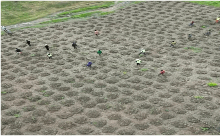 Agro-Climatic Resilience in Semi-Arid Landscapes (ACReSAL) - ACReSAL