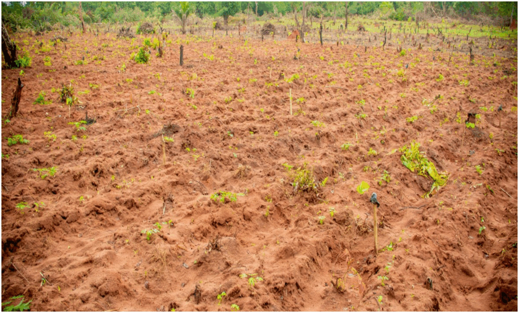 Agro-Climatic Resilience in Semi-Arid Landscapes (ACReSAL) - ACReSAL